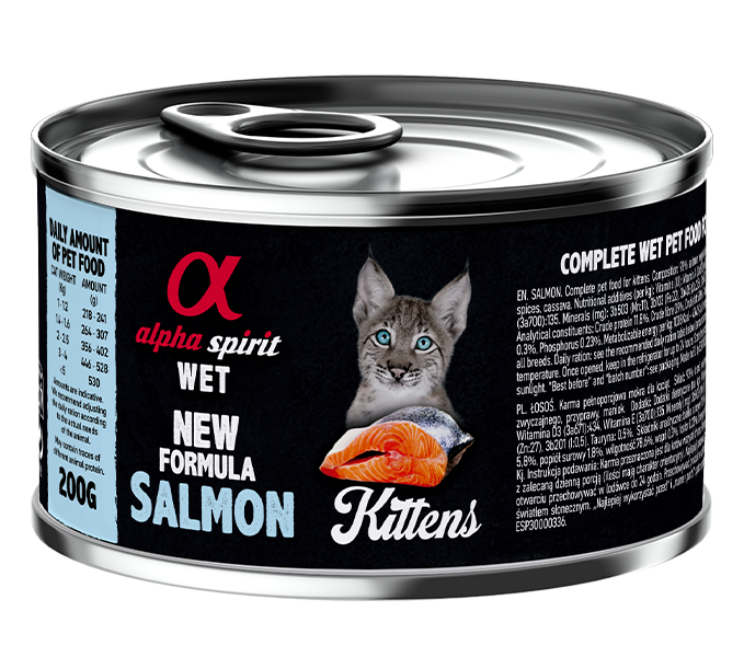 Paté de Salmón para Kittens – Alpha Spirit Store