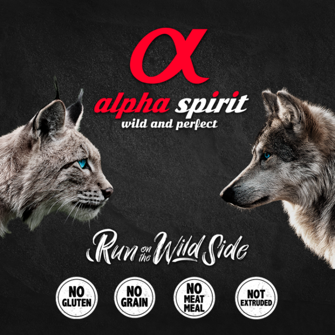 Alpha Spirit: Natural and cooked food for dogs and cats – Alpha Spirit ...
